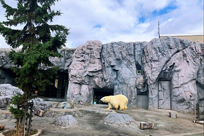 Hokkaido: Asahiyama Zoo, Furano, and Ningle Terrace Tour - A Closer Look at the Itinerary