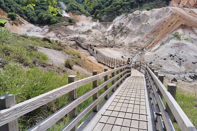 Hokkaido: Bear Park and Jigokudani Hell Valley Tour - What This Tour Means for You