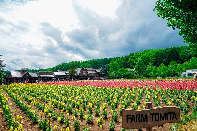 Hokkaido: Biei Blue Pond and Furano Flower Farm Day Trip - FAQs
