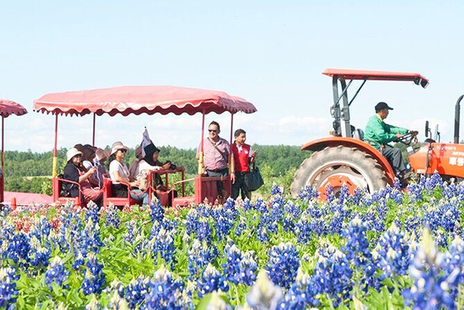 Hokkaido Biei Blue Pond Furano Flower Farm Ningle Terrace Trip - Key Points