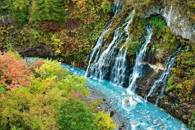 Hokkaido Day Trip From Sapporo: Asahiyama Zoo to Ningle Terrace - Authentic Experiences and Authentic Challenges