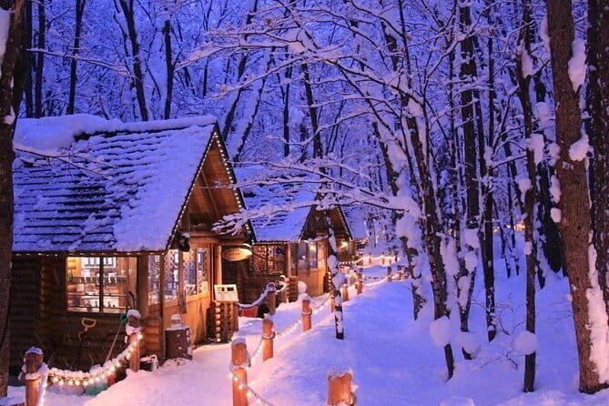 Hokkaido Day Trip From Sapporo: Asahiyama Zoo to Ningle Terrace - Who Is This Tour For?