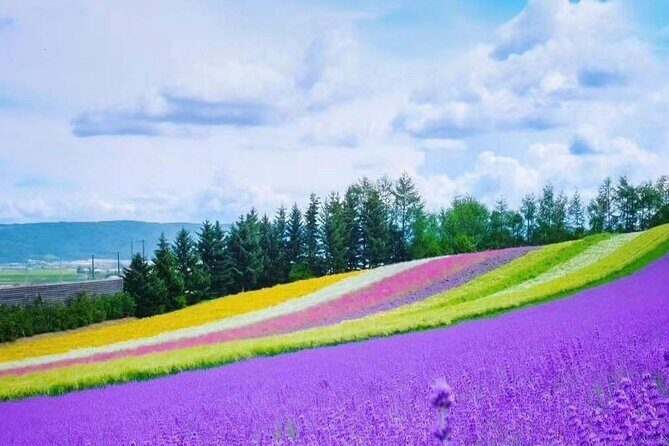 Hokkaido Farm Tomita Shikisai Hill Waterfall& Blue Pond Day Tour - Practical Tips for Your Day