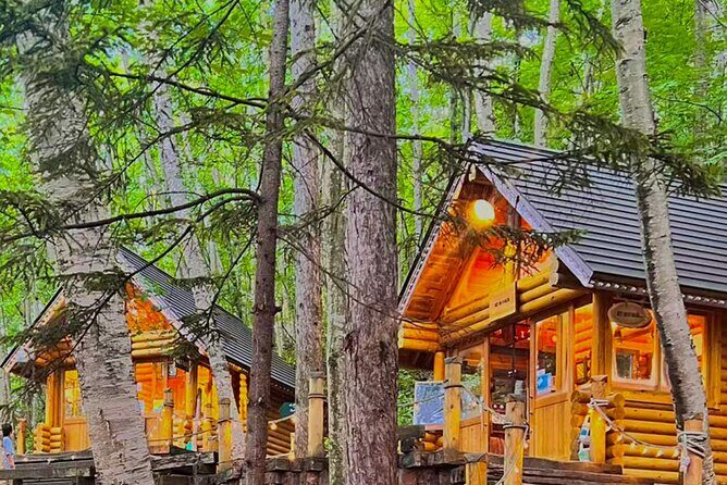 Hokkaido Farm Tomita Shikisai Hill Waterfall& Blue Pond Day Tour - Who Is This Tour Best For?