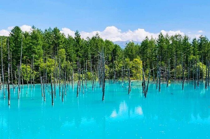 Hokkaido Flowers and Blue Pond Tour - FAQs