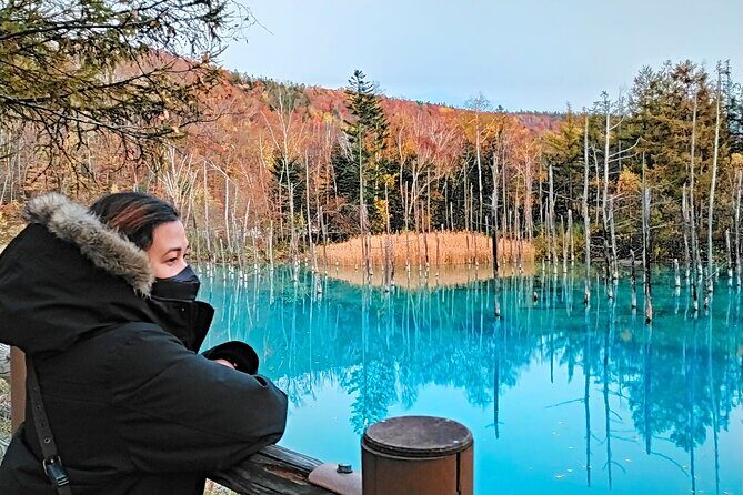 Hokkaido Furano Lavender & Biei Blue Pond Tour with Lunch - Final Verdict