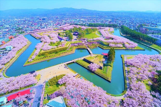 Hokkaido Hakodate Cherry Blossom 2D1N Bus tour from Sapporo - Key Points