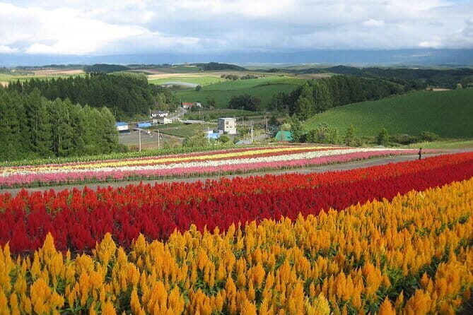 Hokkaido Hakodate Cherry Blossom 2D1N Bus tour from Sapporo - FAQ