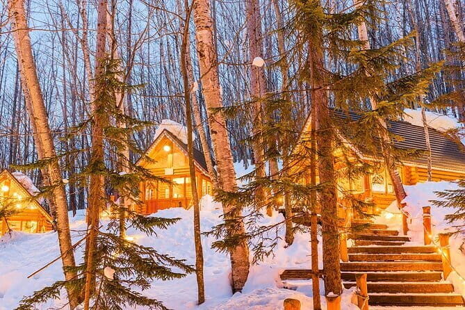 Hokkaido Lake Toya and Noboribetsu Private Day Tourfrom Sapporo) - Transportation and the Comfort of Private Travel