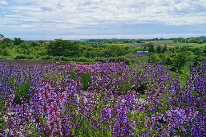 Hokkaido Nature and Gourmet Experience near Lake Toya - FAQ