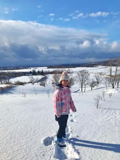 Hokkaido Nature and Gourmet Experience (near Lake Toya) - The Sum Up