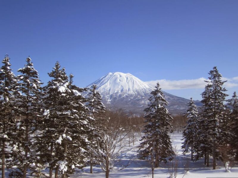 Hokkaido Niseko Ski Day Tour - What’s Included and What’s Not: Making Sense of the Cost