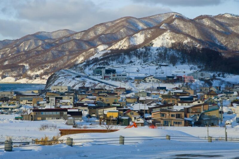 Hokkaido Niseko Ski Day Tour - The Experience: What Will You Feel and See?