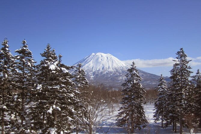 Hokkaido Niseko Ski Day TourDepart from Sapporo - Who Will Love This Tour?