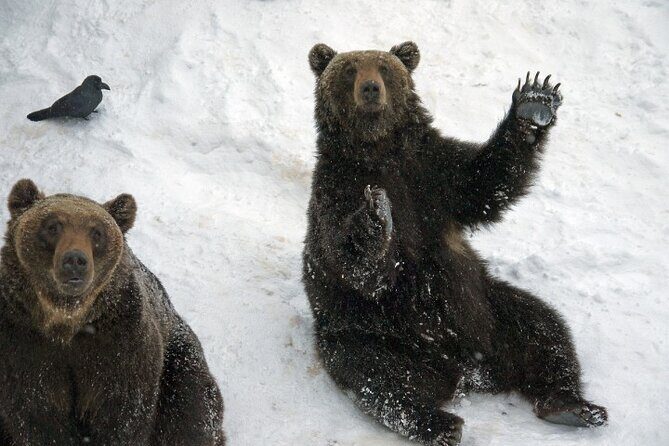 Hokkaido Noboribetsu Earth Energy Experience Hell and Heaven - The Sum Up