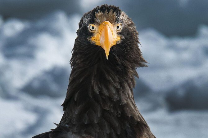 Hokkaido Photo Tour & Workshop-9 Day Tour-February 1-9 - FAQ