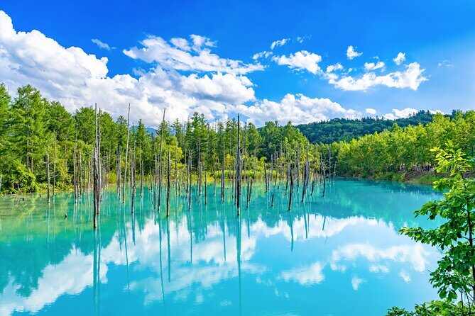 Hokkaido Private Tour starts from Sapporo - Key Points