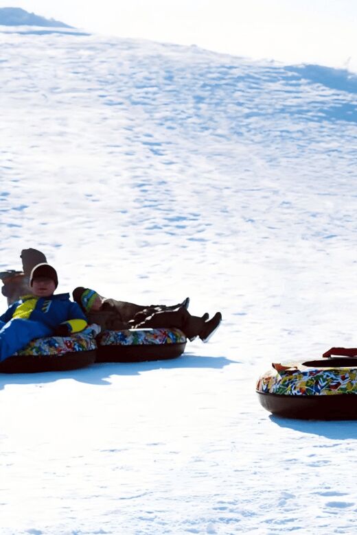 Hokkaido, Sappro, Otaru & Cape Kamui One-day Tour - Who This Tour Is Best For