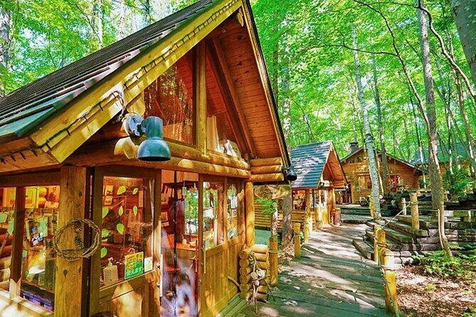 Hokkaido Scenic Day Tour: Zoo, Blue Pond, Iconic Trees & Terrace - Introduction