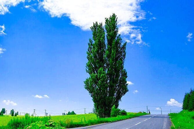 Hokkaido Scenic Day Tour: Zoo, Blue Pond, Iconic Trees & Terrace - FAQ