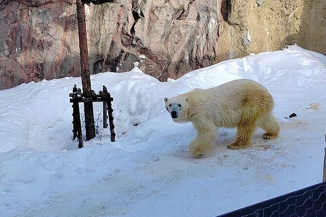 Hokkaido Secret Discovery Tour Depart from Sapporo - Key Points