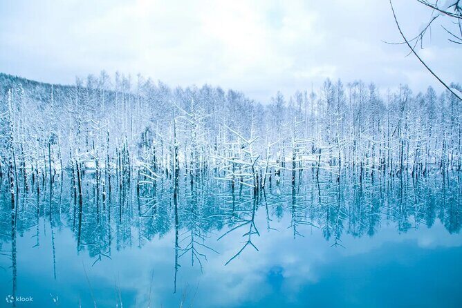 Hokkaido Secret Discovery Tour Depart from Sapporo - The Sum Up