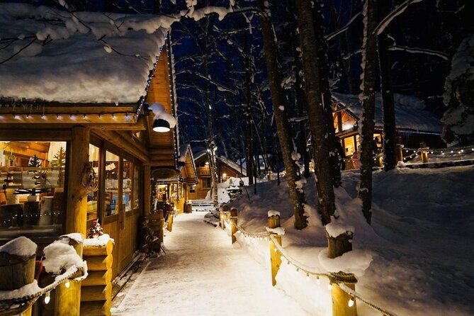 Hokkaido Tour, Asahiyama Zoo, Christmas Tree and Biei Green Pond - Key Points