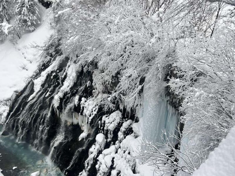 Hokkaido TourAsahiyama Zoo &Biei Waterfalls &Ningle Terrace - Key Points