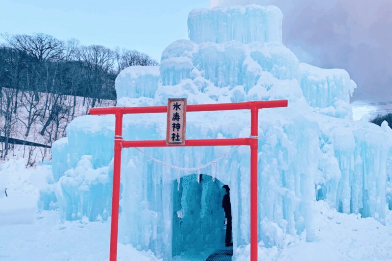 Hokkaido Winter : Sapporo to Noboribetsu, Lake Toya, Volcano - Who Should Consider This Tour?