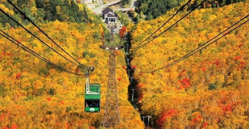 HokkaidoKurodake Ropeway, Asahiyama Zoo Autumn Leaves Tour - Transport, Duration, and Practical Details
