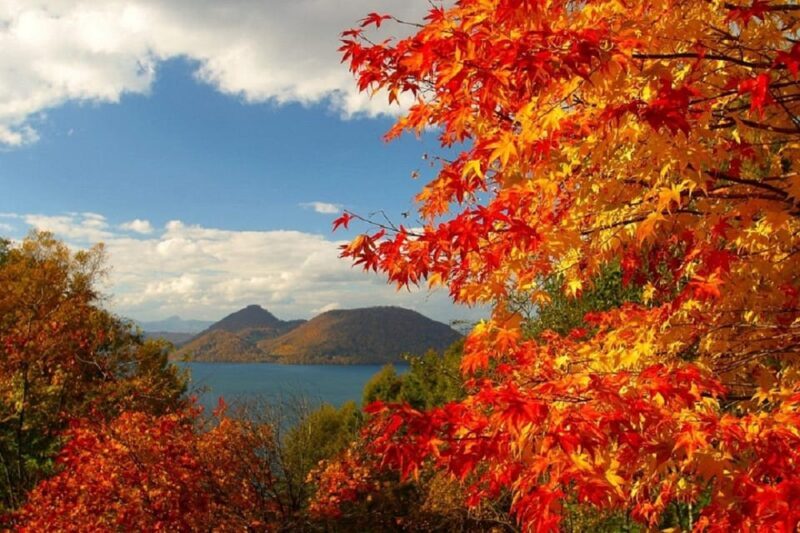 HokkaidoNoboribetsu & Lake Toya Tour with Ropeway Ticket - Scenic Overlooks & Final Stops