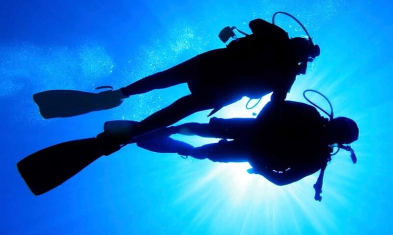 Hol Chan Marine Park night dive - Key Points