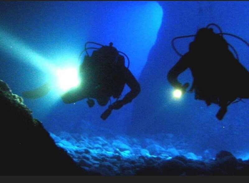 Hol Chan Marine Park night dive - Authentic Perspectives from Previous Travelers