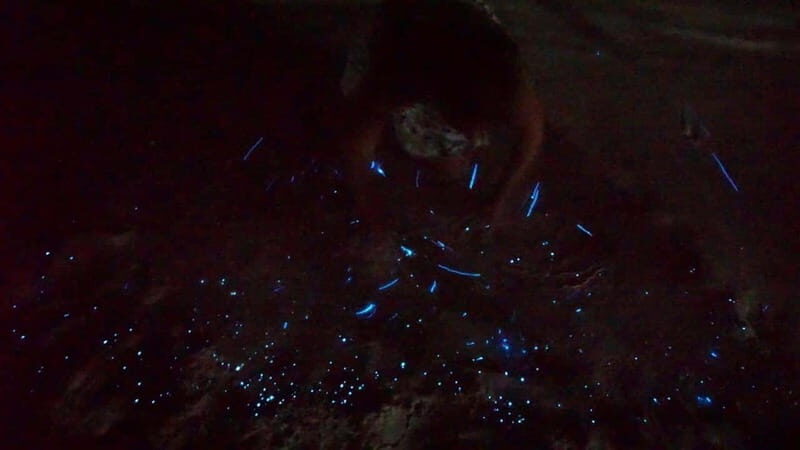 Holbox: Bioluminescence by Kayak and Stargazing. - The Night Sky and Natures Unscripted Show