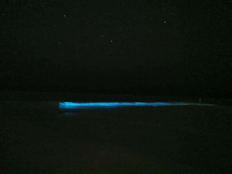Holbox: Bioluminescence by Kayak and Stargazing. - Accessibility and Practical Considerations