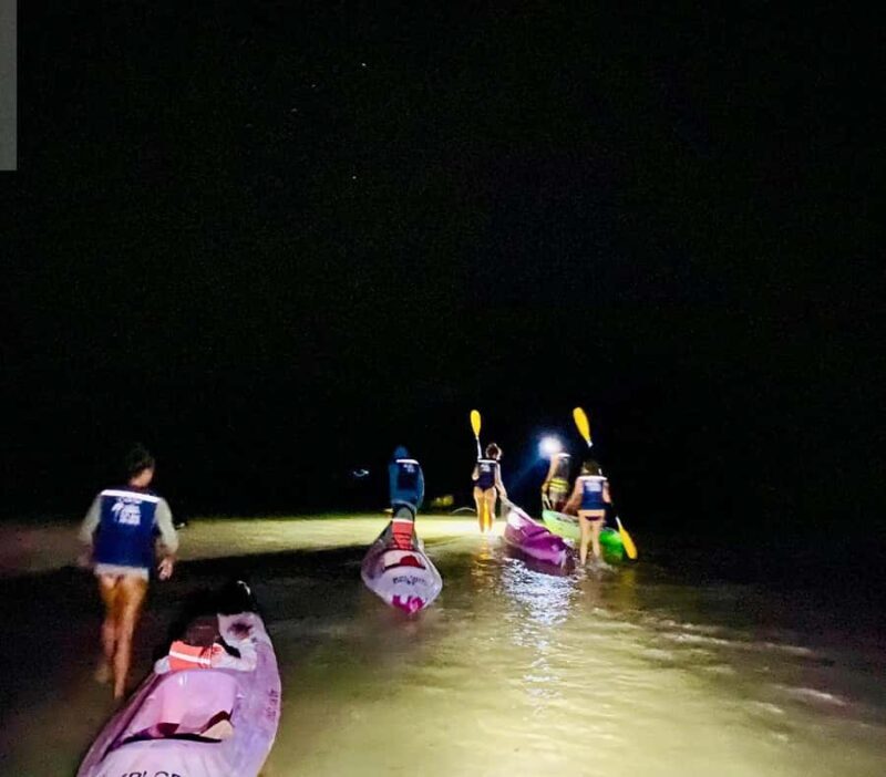 Holbox: Bioluminescence Kayaking and Stargazing - An In-Depth Look at the Experience