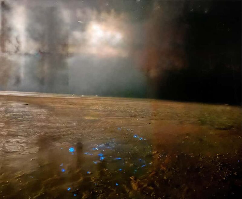 Holbox: Bioluminescence Kayaking and Stargazing - FAQ