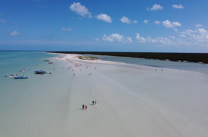 Holbox Boat Tour and Golf Cart - Who Should Consider This Tour?