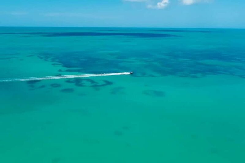 Holbox : boat tour, golfcart, beach club, pick up available - A Delicious Buffet Lunch at an Exclusive Beach Club