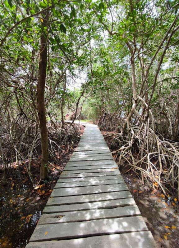 Holbox Discovery: Experience the Authentic Essence, Adventure, Taste and Relaxation - FAQ