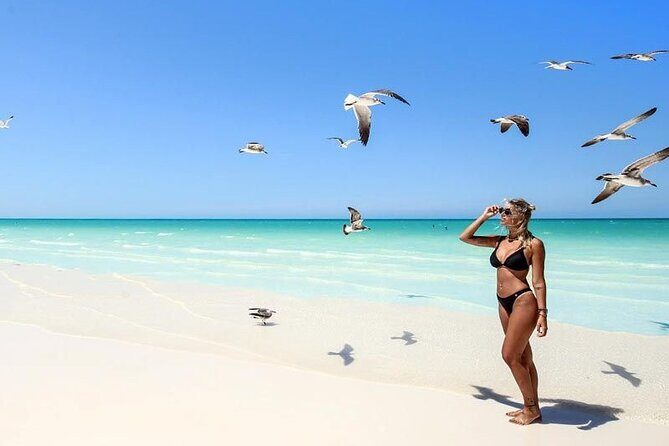 Holbox Exclusive Full Day Tour - Punta Mosquito: Semi-Virgin Beaches and Sandbanks