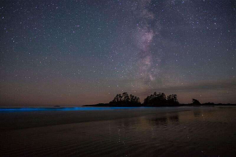 Holbox: Guided Bioluminescence Kayaking Tour - The Experience in Detail
