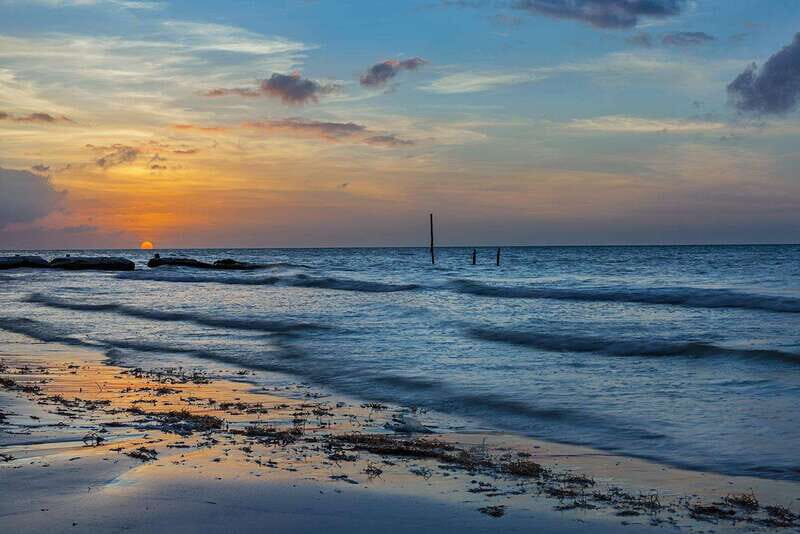 Holbox: Guided Bioluminescence Kayaking Tour - Authentic Feedback from Guests