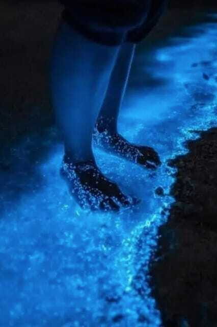 Holbox: Guided Bioluminescence Kayaking Tour - Concluding Thoughts: Is This Tour for You?