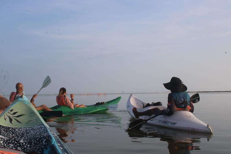 Holbox: Guided Sunrise/Sunset Kayak Tour by Mangrove Reserve - Authenticity and Review Spotlights