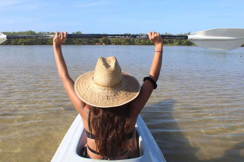 Holbox: Guided Sunrise/Sunset Kayak Tour by Mangrove Reserve - Who Will Love This Tour?