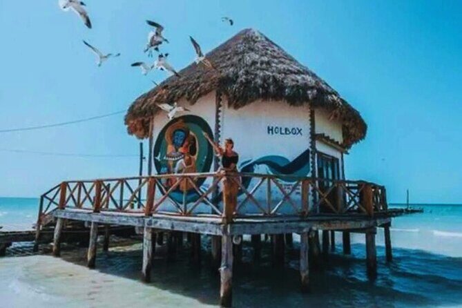 Holbox Island Experience with Lunch - Authentic Experiences and Practical Advice