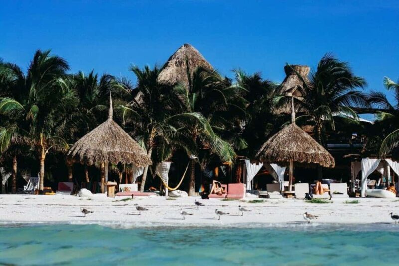 Holbox Island: Feel the Pristine Nature Around You - Isla de la Pasión: Seclusion and Unspoiled Beaches