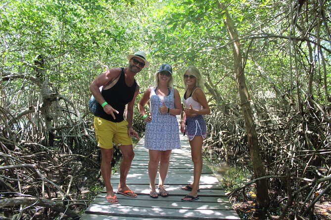 Holbox Island from Playa del Carmen - Benefits and Drawbacks