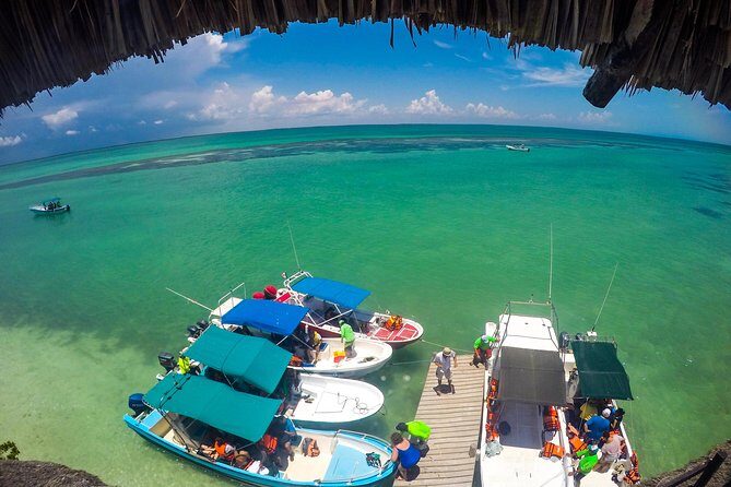 Holbox Island Tour departure from Cancun - Final Thoughts